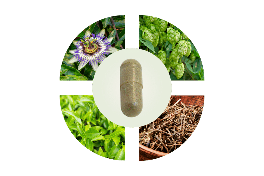 Relax & Calm - Blend of Botanicals for Relaxation and Sleep Support – Aceva